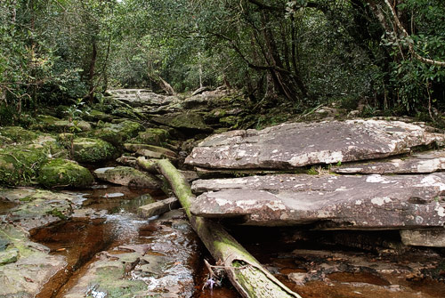 ᐈ Las cataratas Popokvil, en el Parque Nacional de Bokor de Kampot