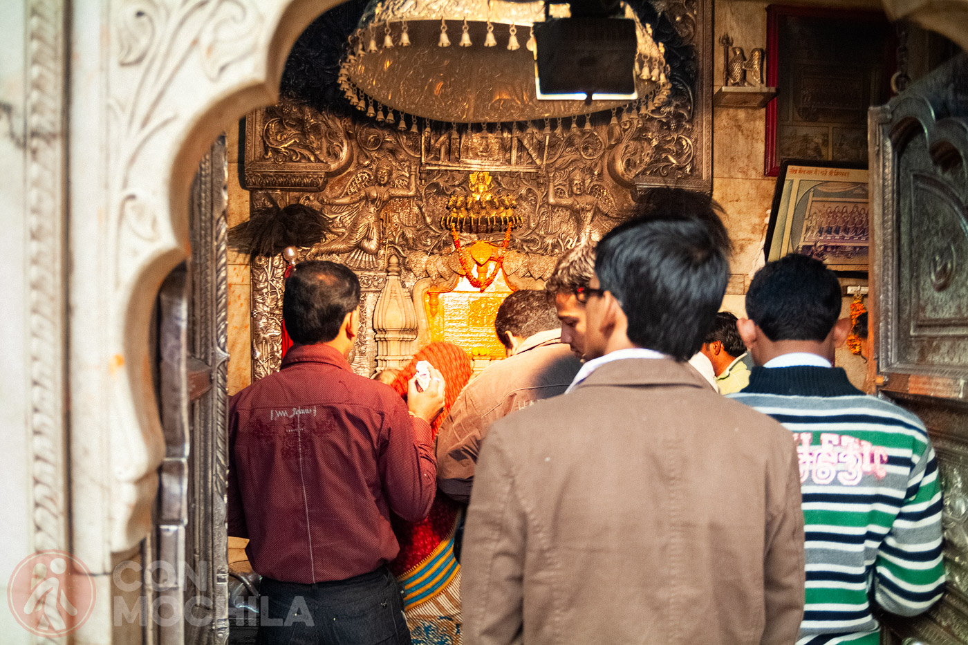 ᐈ Karni Mata, el único y peculiar templo de las ratas de India
