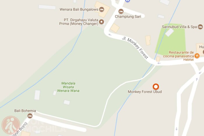 ᐈ Ubud Monkey Forest, el santuario sagrado lleno de monos