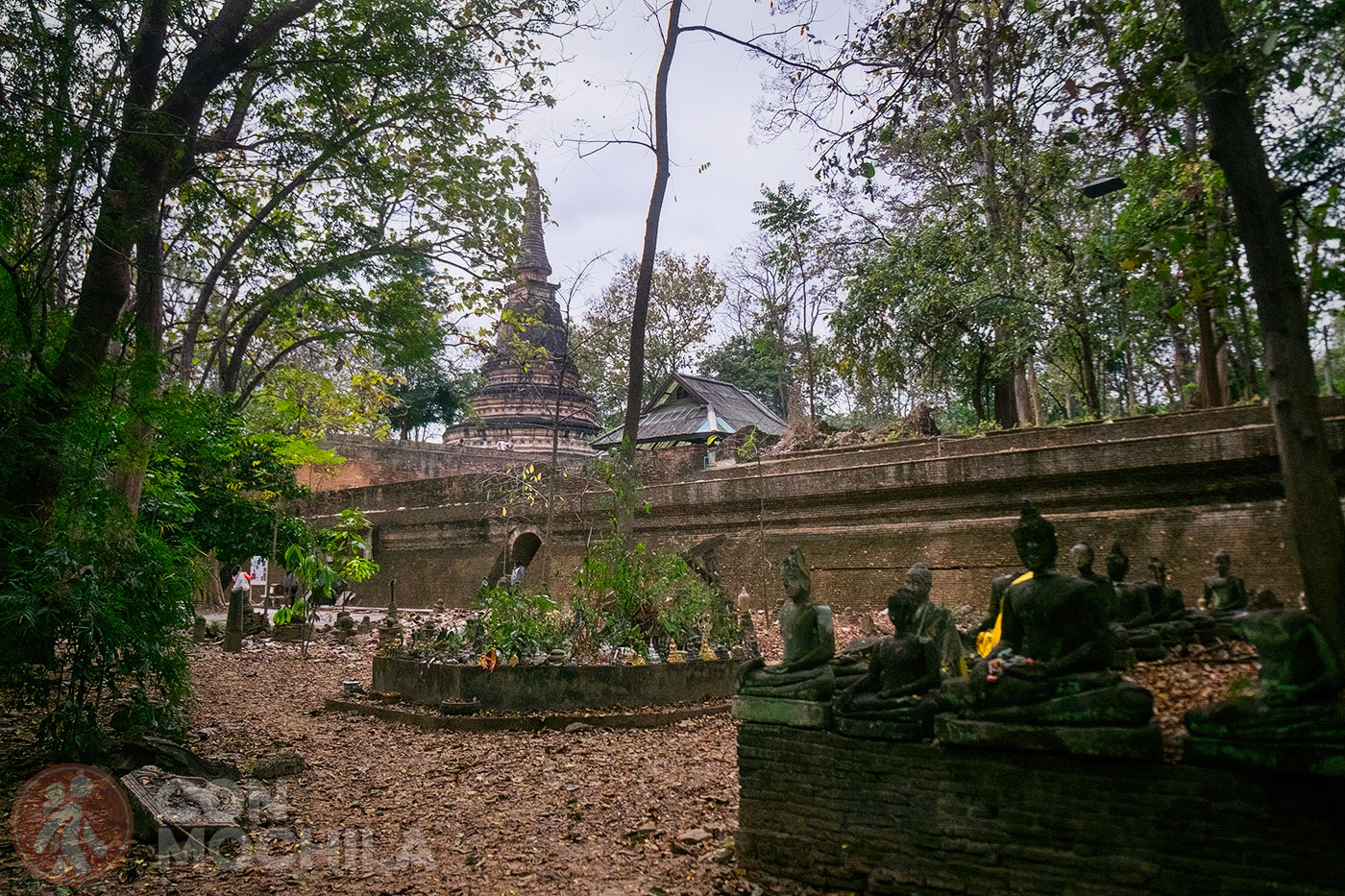 ᐈ Wat Umong, el templo de los túneles de Chiang Mai