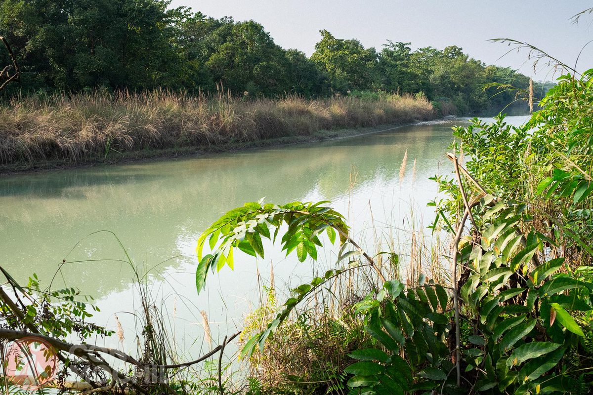 ᐈ Parque Nacional de Bardia, diamante en bruto de Nepal Bardia