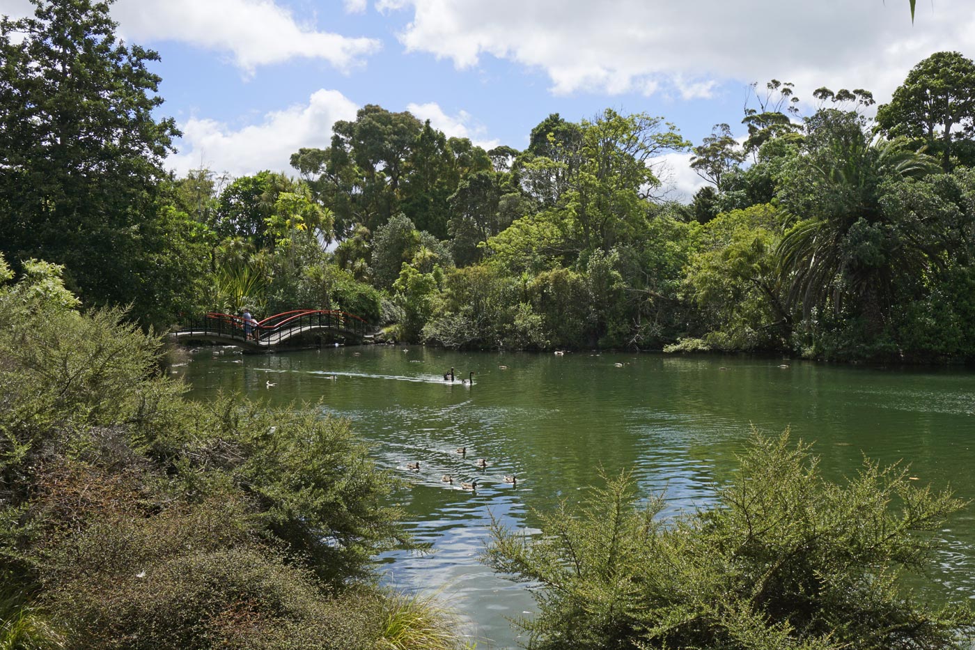 ᐈ Auckland: la guía para viajar por tu cuenta