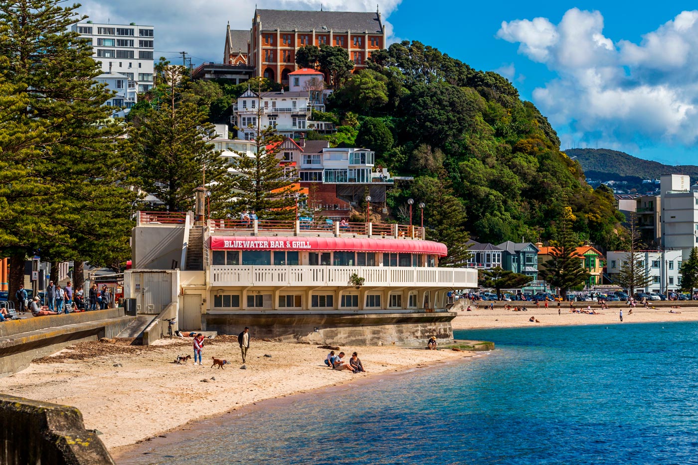 ᐈ WELLINGTON: la guía para viajar por tu cuenta