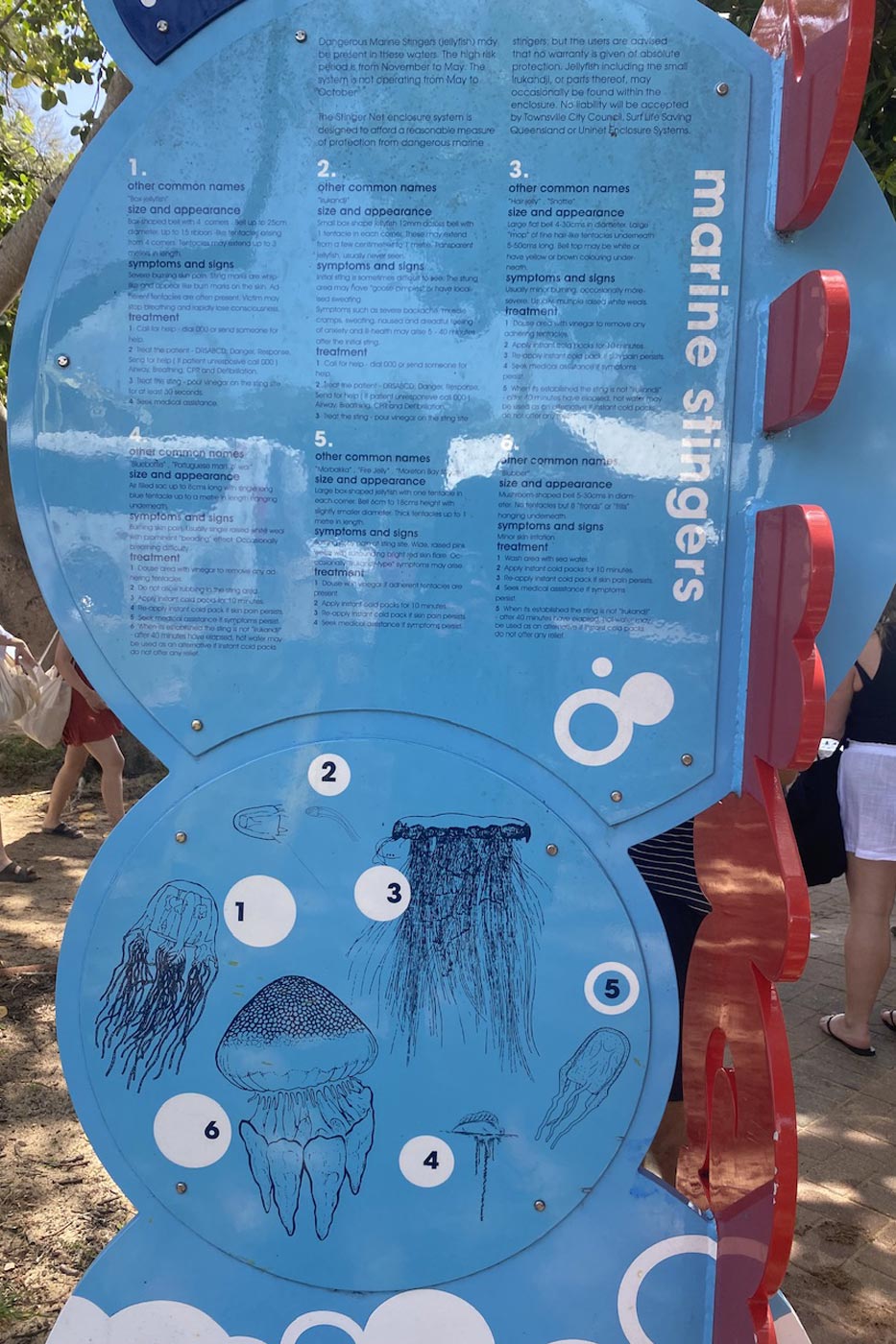 ᐈ Queensland Pacific Coast Way: la guía para viajar por tu cuenta