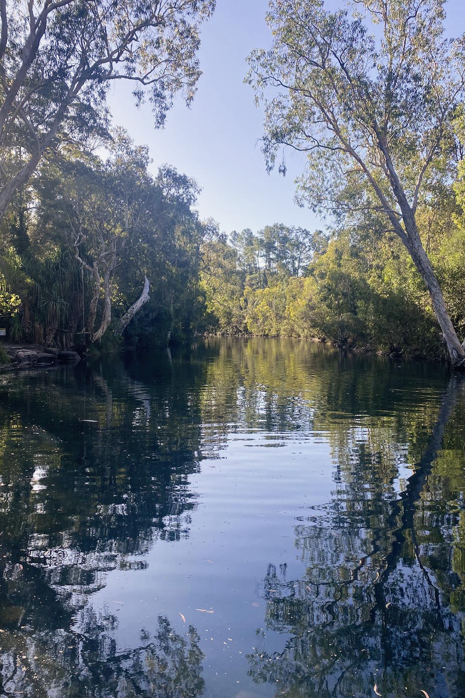 ᐈ Queensland Pacific Coast Way: la guía para viajar por tu cuenta