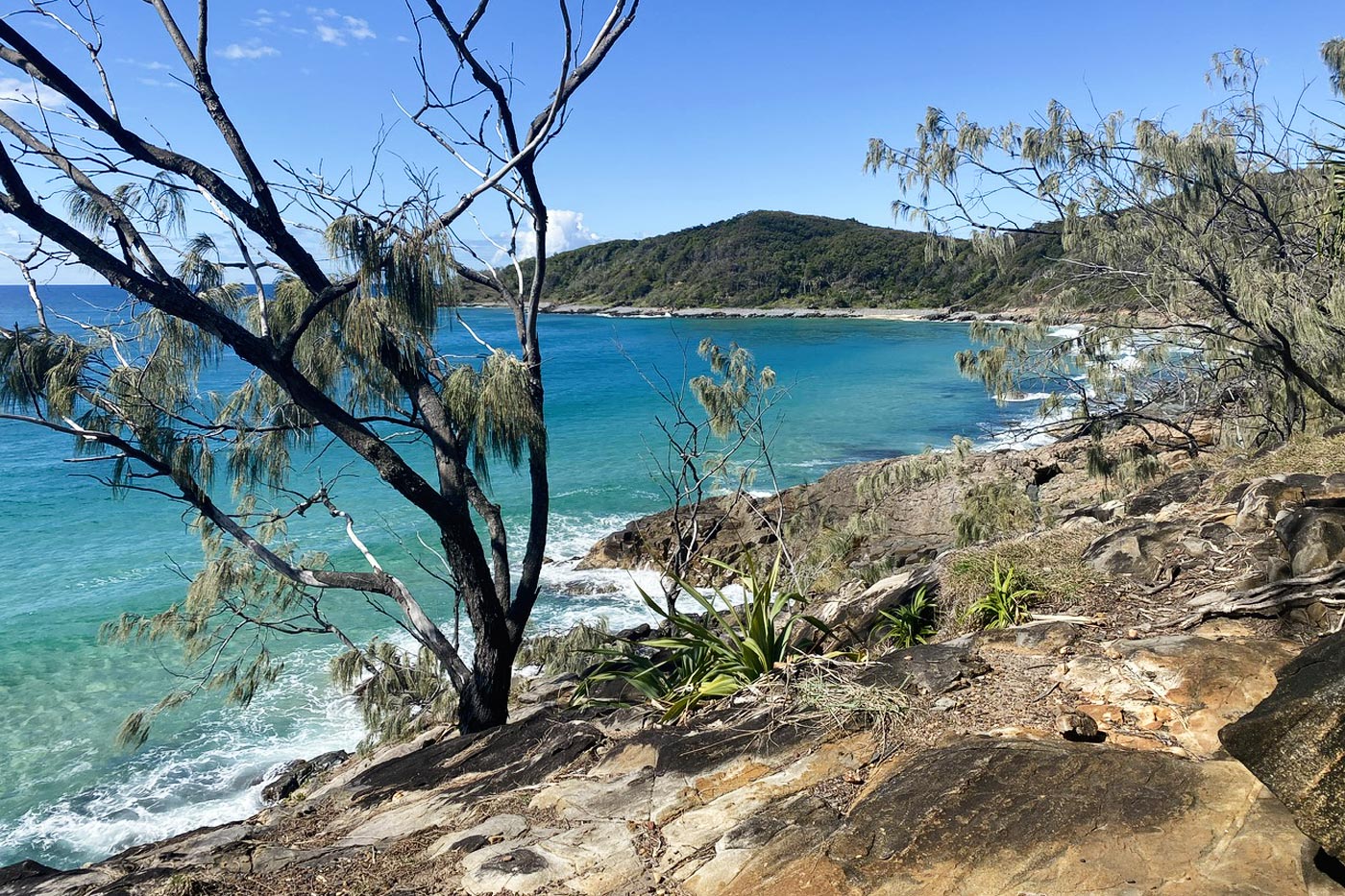 ᐈ SUNSHINE COAST: la guía para viajar por tu cuenta
