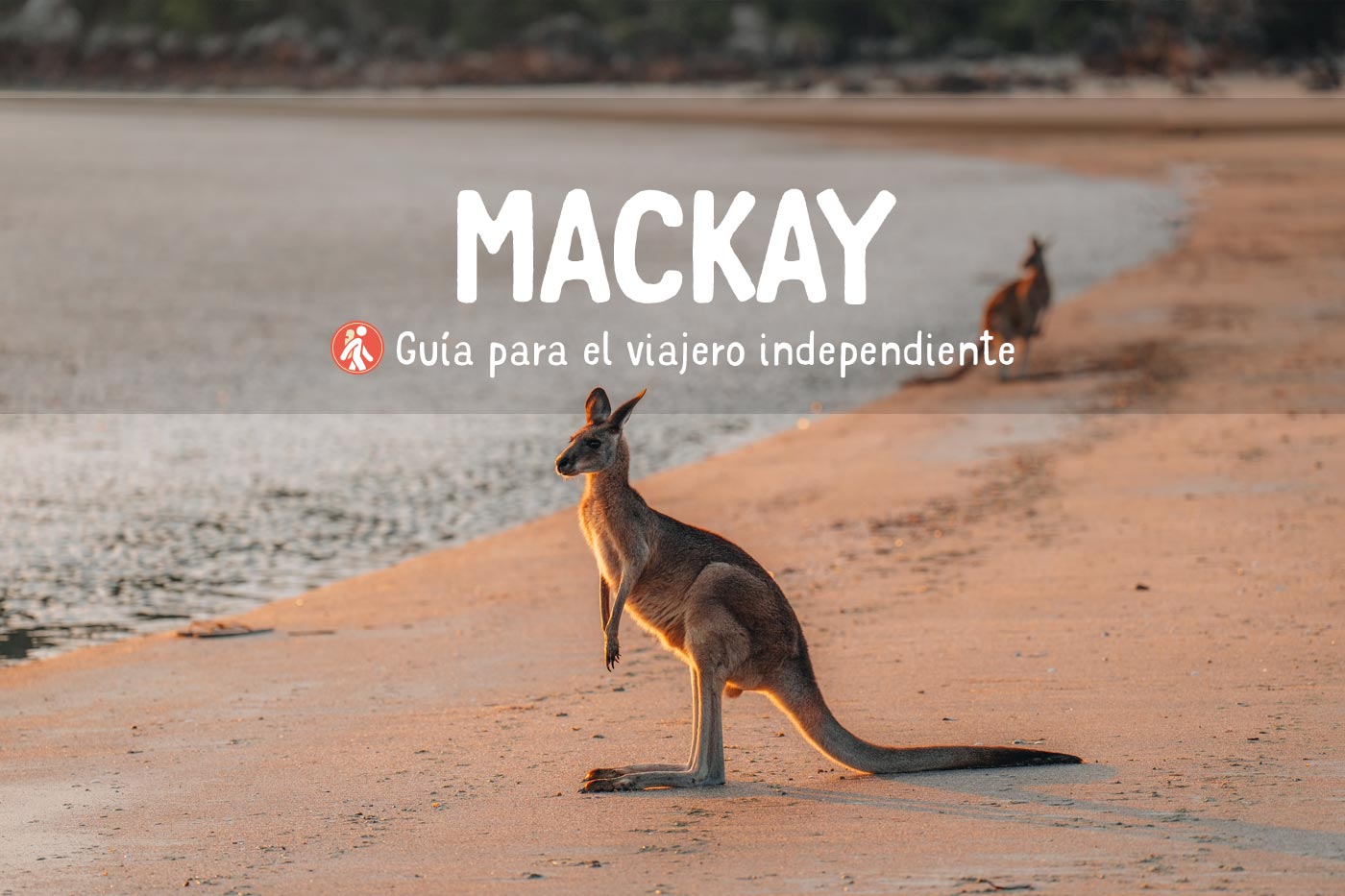 ᐈ MACKAY: la guía para viajar por tu cuenta